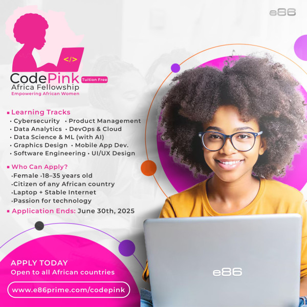 Unlock Your Potential: Join CodePink Africa Fellowship and Transform ...